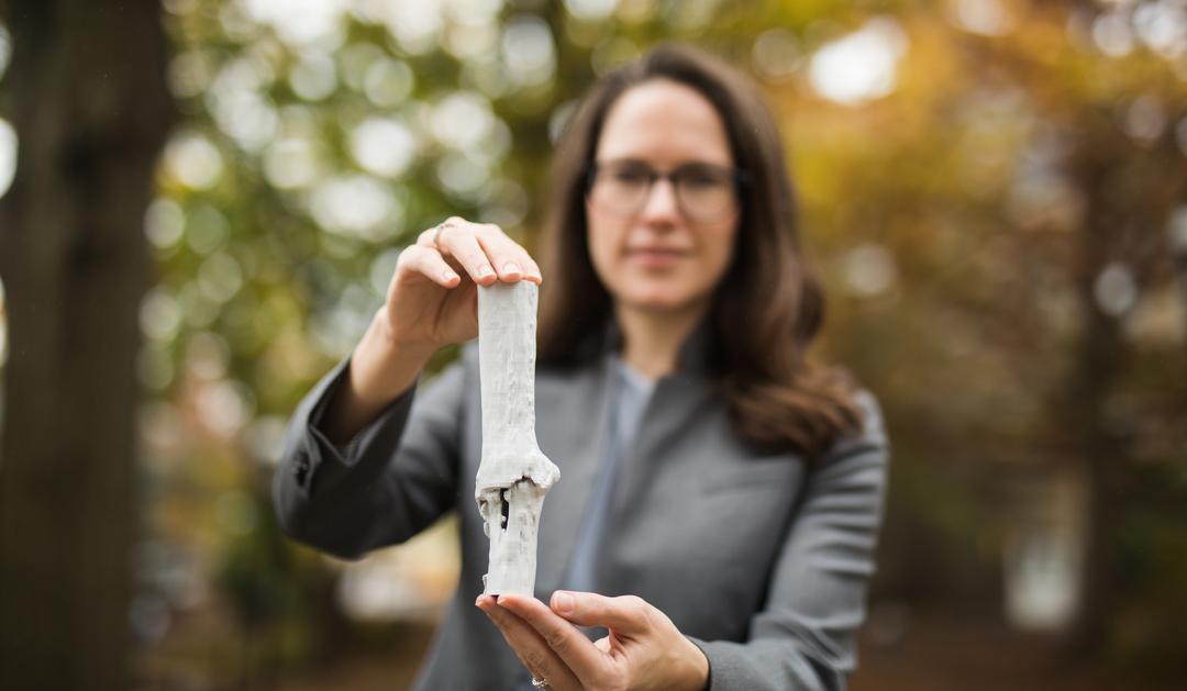 Prof. Hannah Dailey Receives Presidential Early Career Award | Lehigh University News